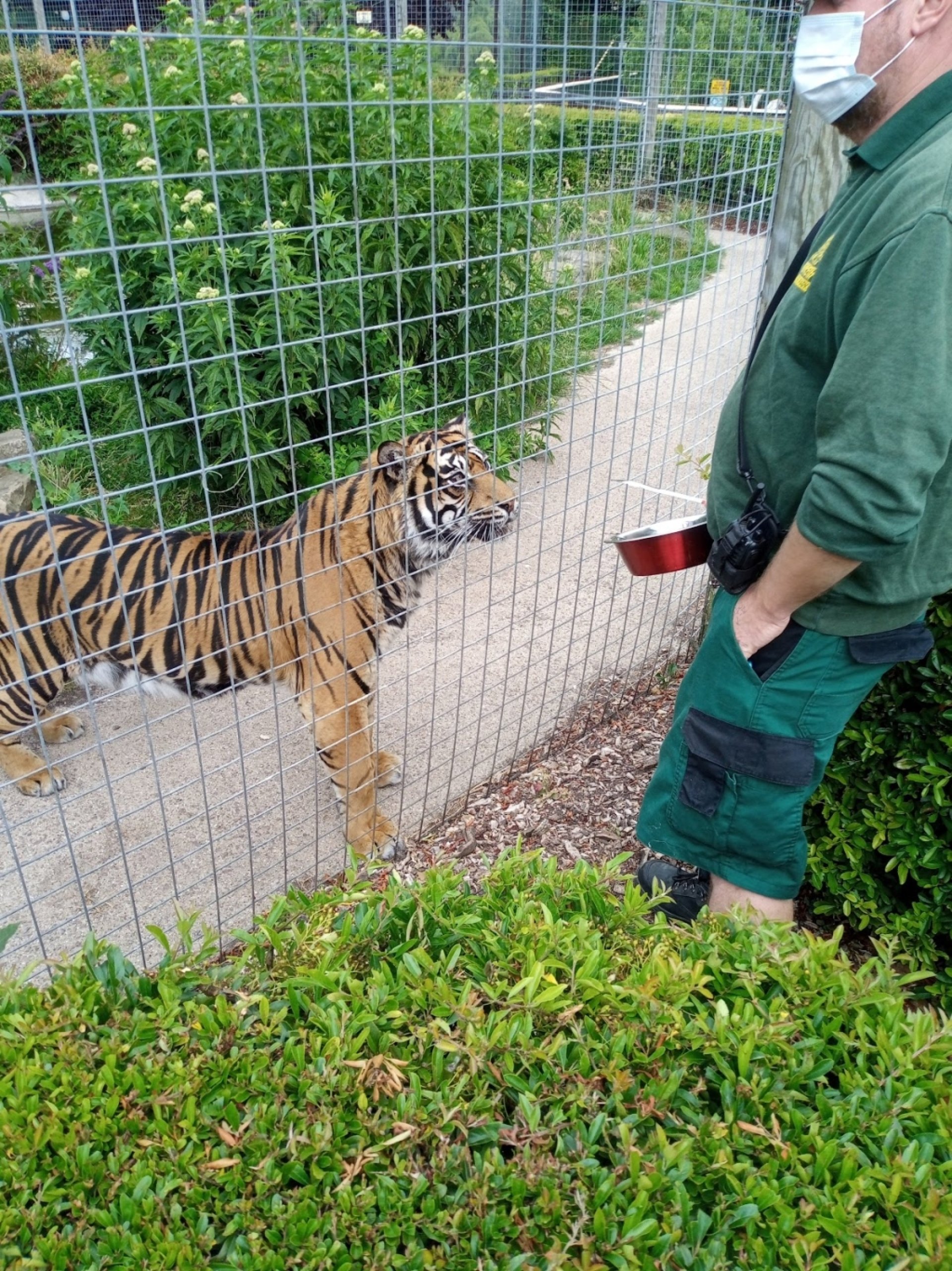Parque de Vida Silvestre de Shepreth, Royston: Información, Entradas y ...