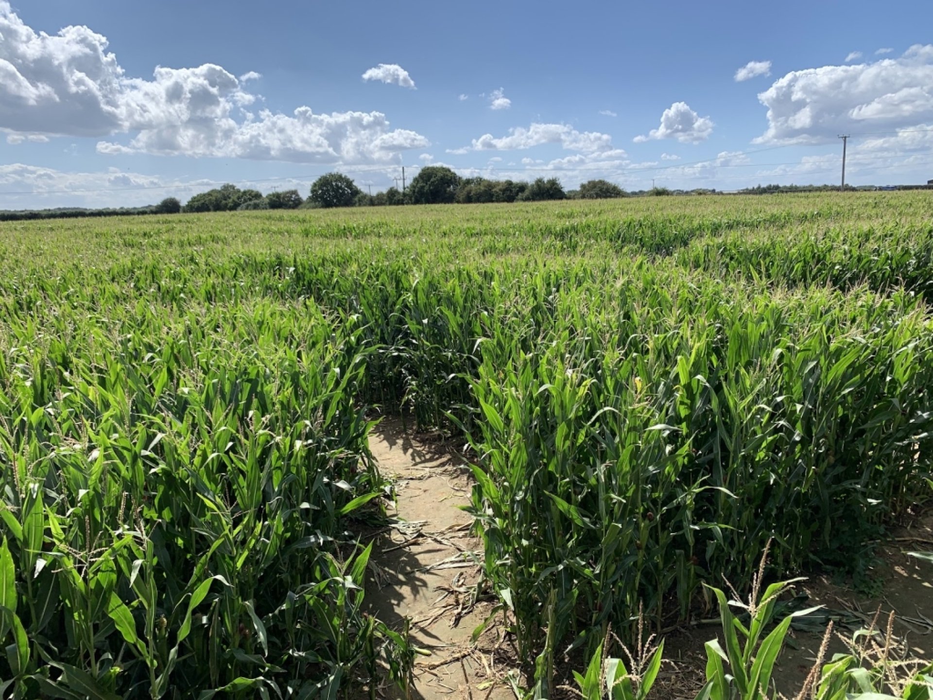 Parque de Diversiones Familiar de Hirsty, Great Yarmouth: Información ...