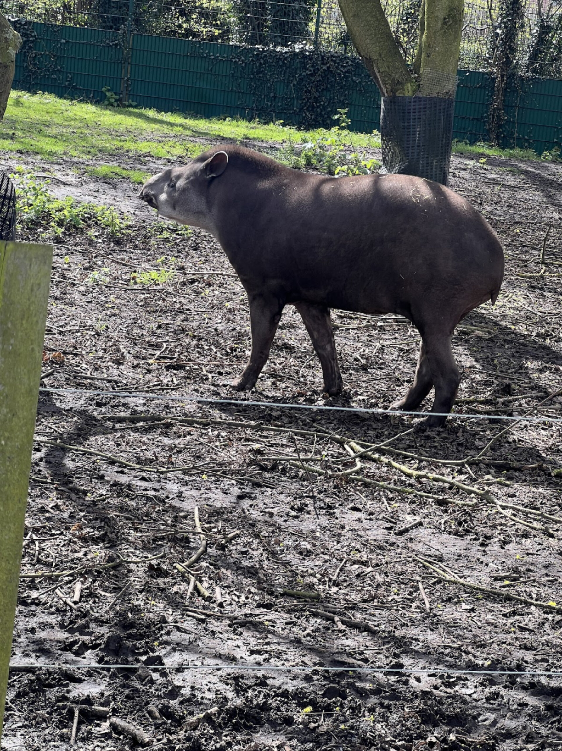 Reaseheath Mini Zoo, Nantwich: Información, Entradas y Opiniones