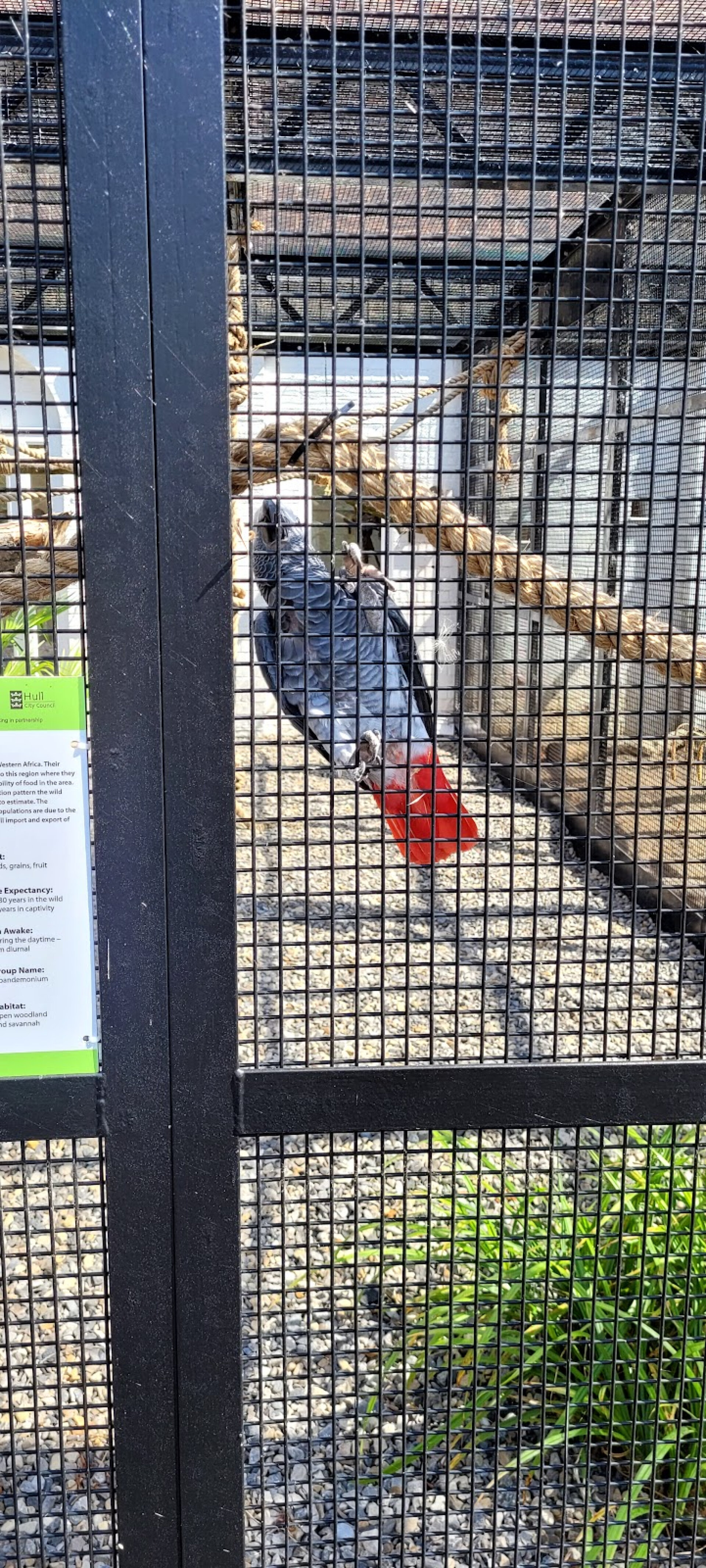 Pickering Park Aviary, Hull: Information, Tickets and Reviews