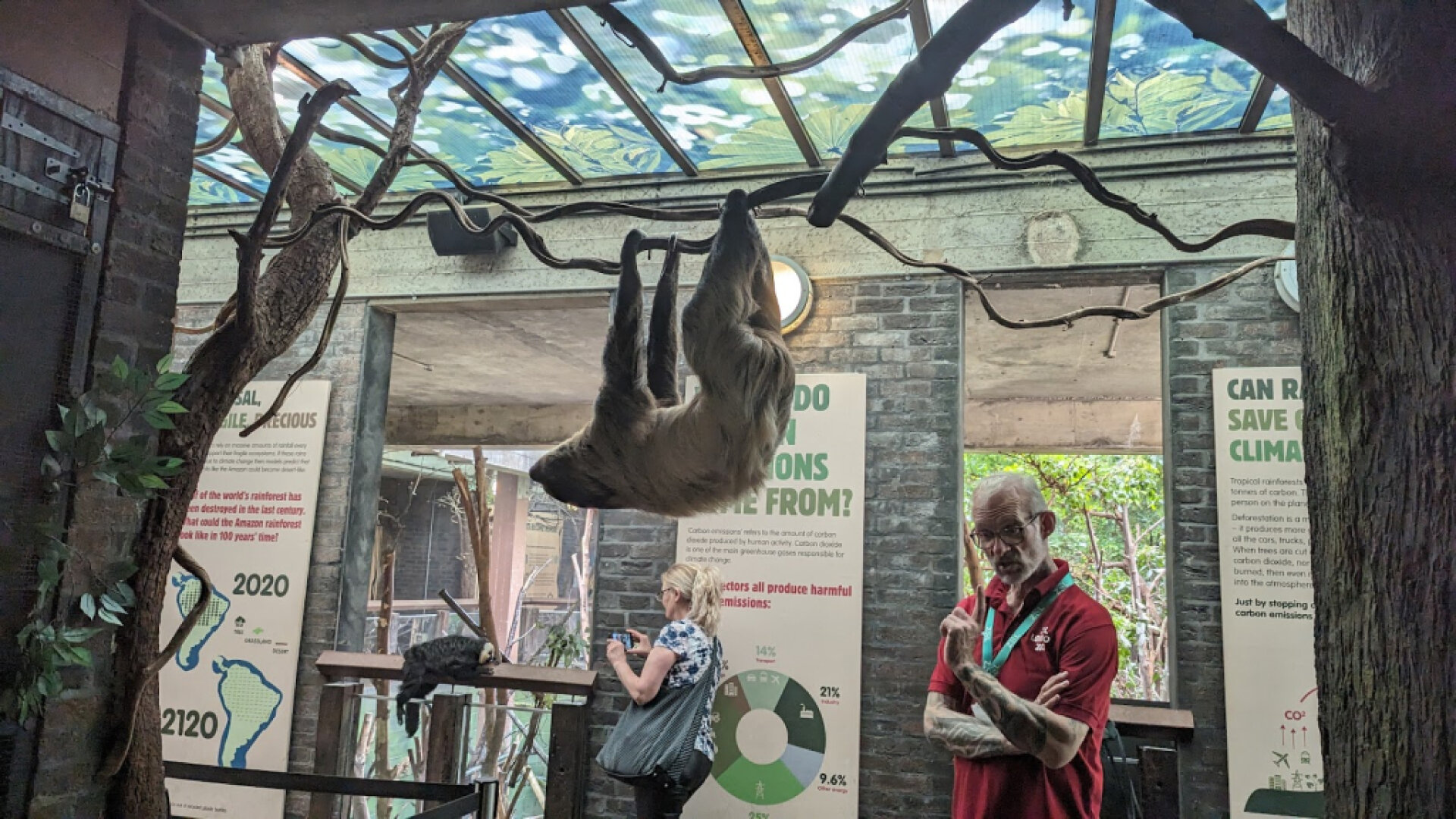 Rainforest Life, London: Information, Tickets and Reviews