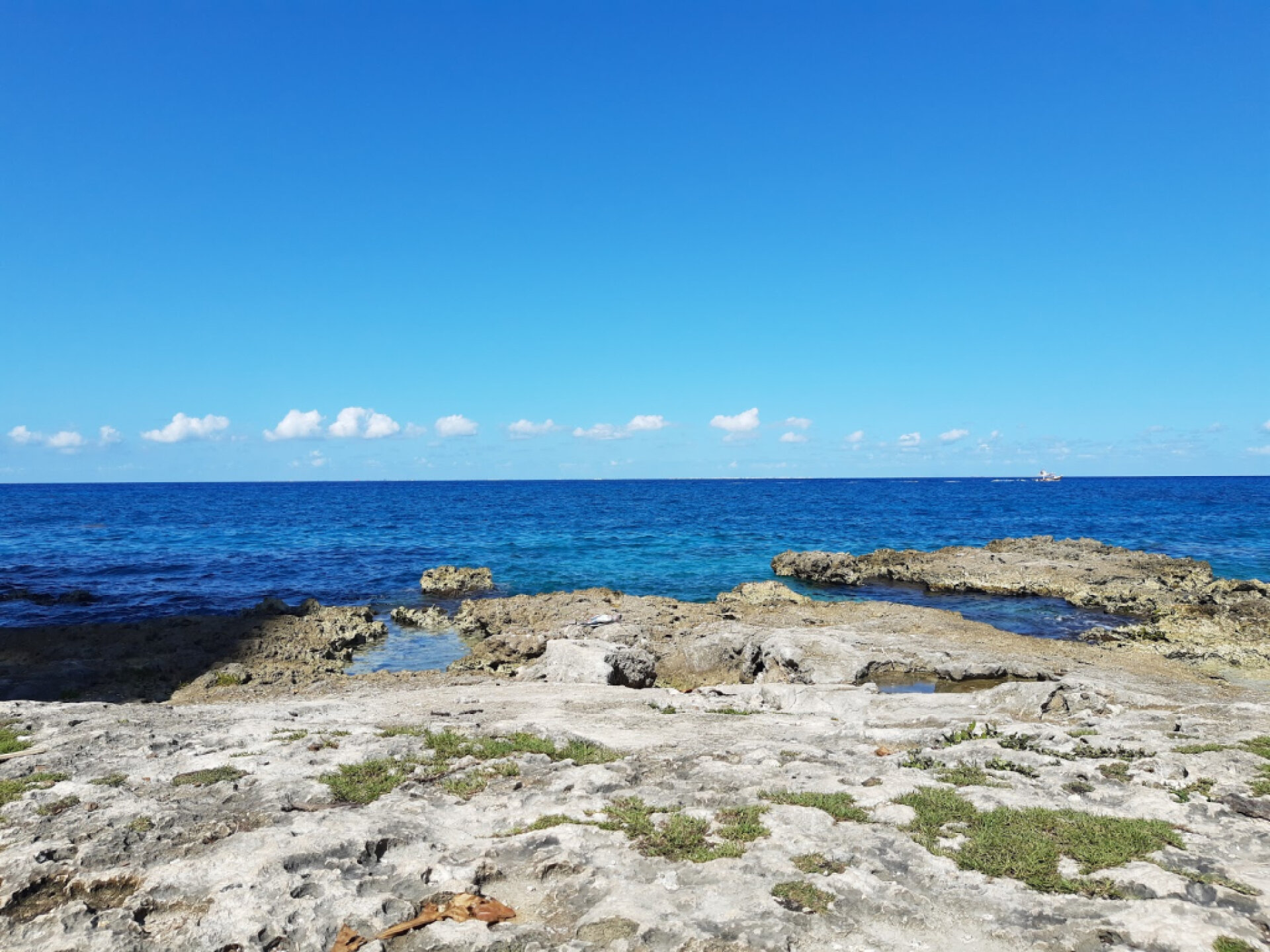 Parque Municipal De Cozumel, Cancún: Información, Entradas y Opiniones