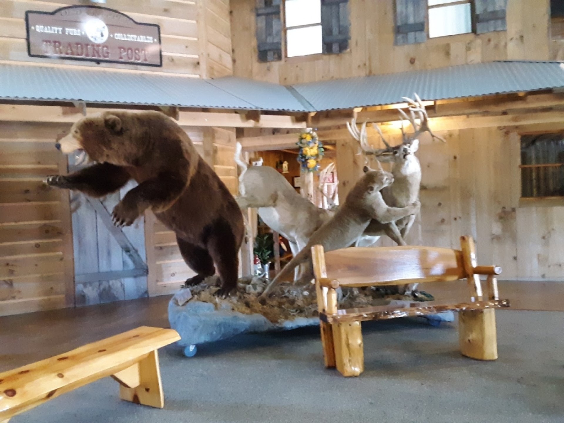 Deer Tracks Junction, Cedar Springs, MI: Information, Tickets and Reviews