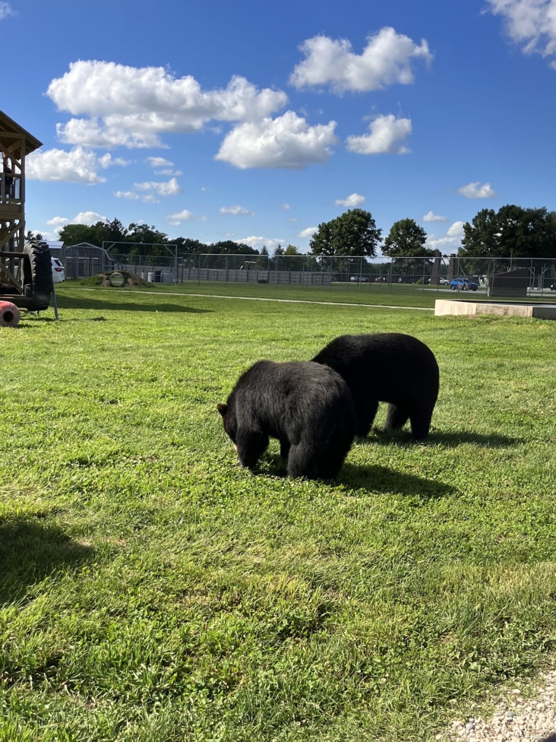 Deer Tracks Junction, Cedar Springs, MI: Information, Tickets and Reviews