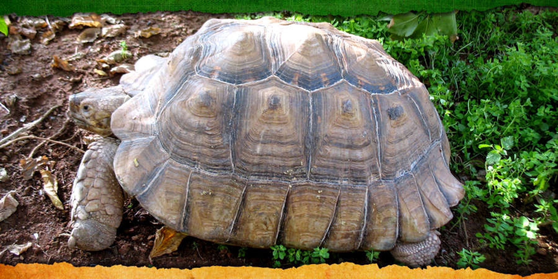 Natura Parc, Santa Eugènia: Información, Entradas y Opiniones