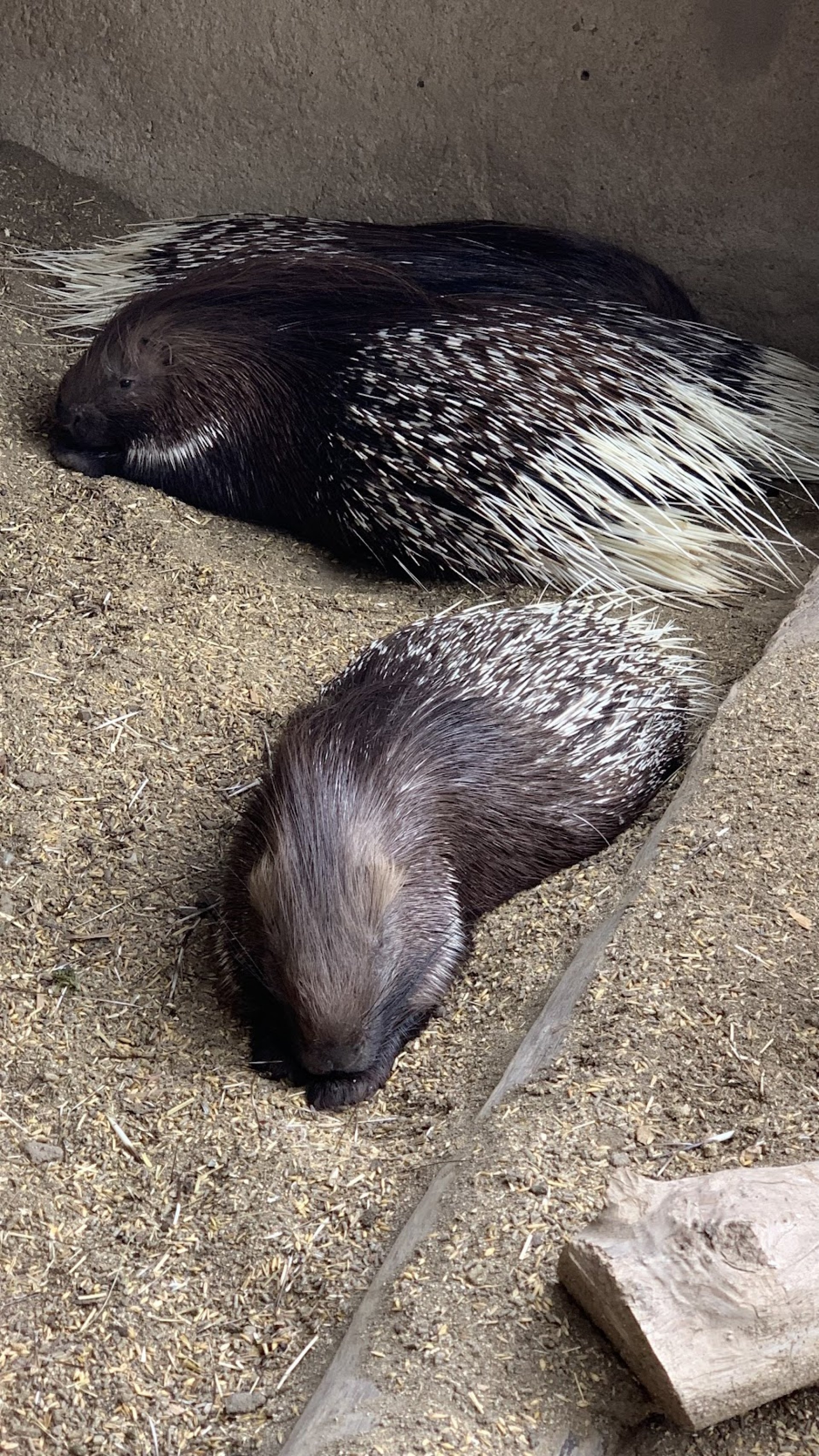 Natura Parc, Santa Eugènia: Información, Entradas y Opiniones