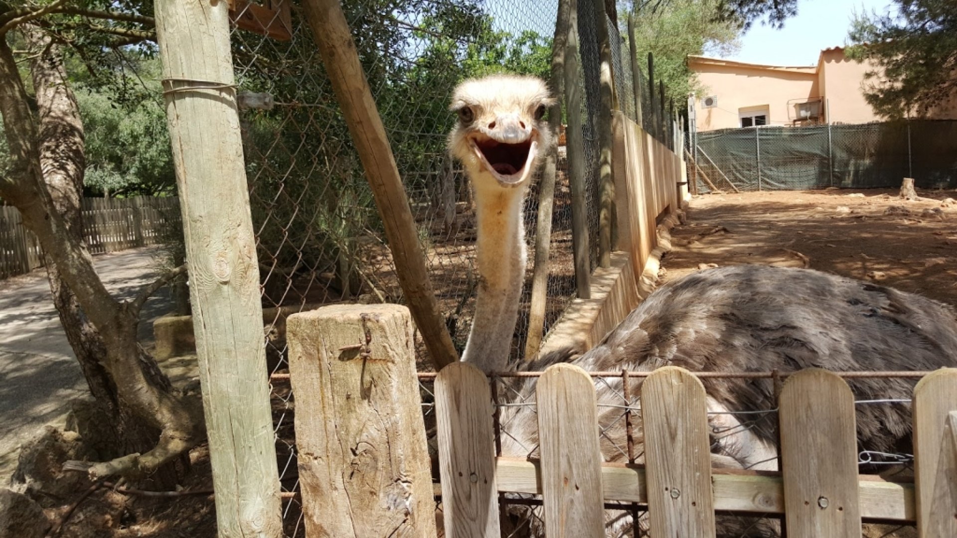 Natura Parc, Santa Eugènia: Información, Entradas y Opiniones