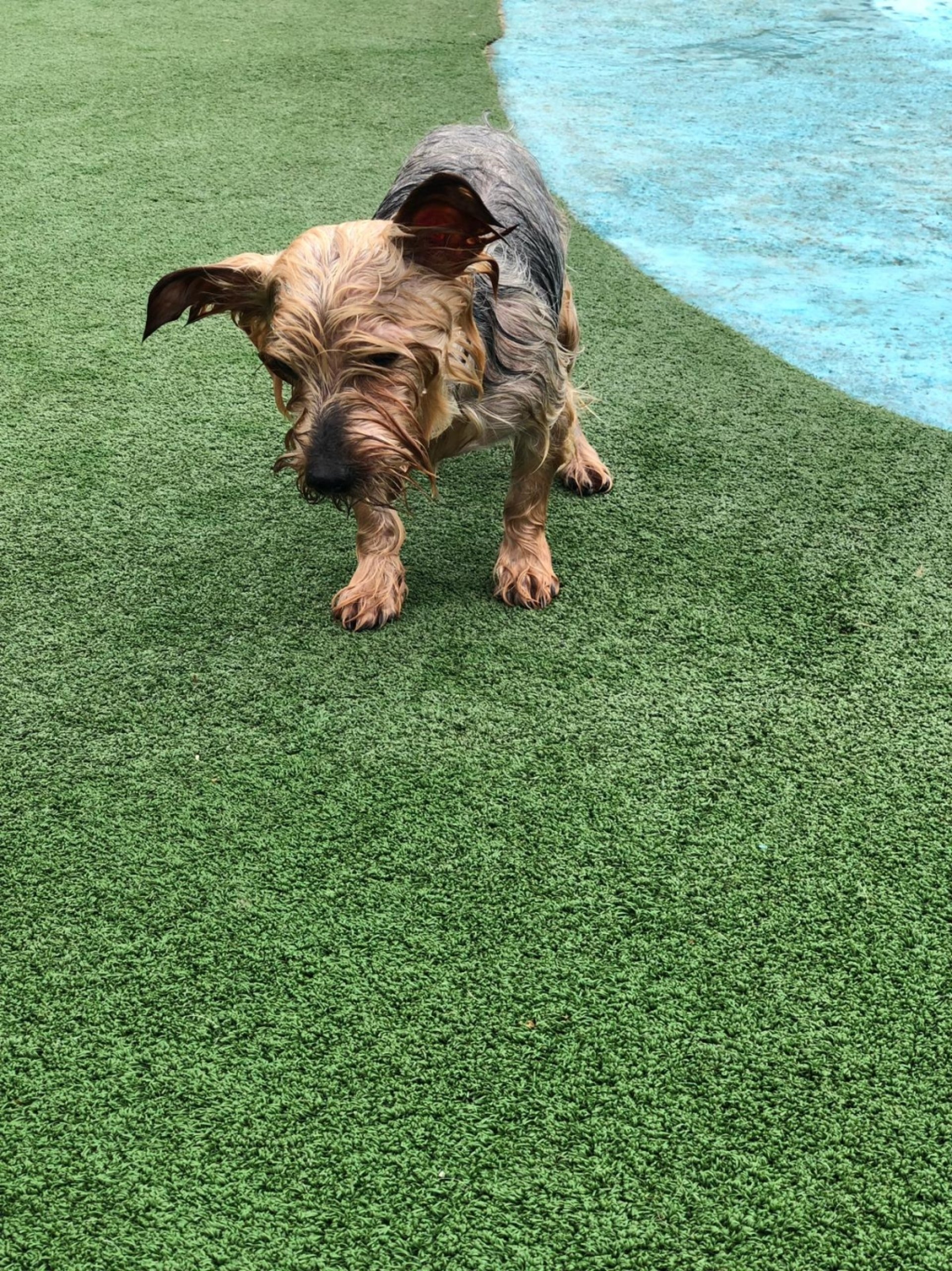 Can Jané, La Roca del Vallès: Información, Entradas y Opiniones