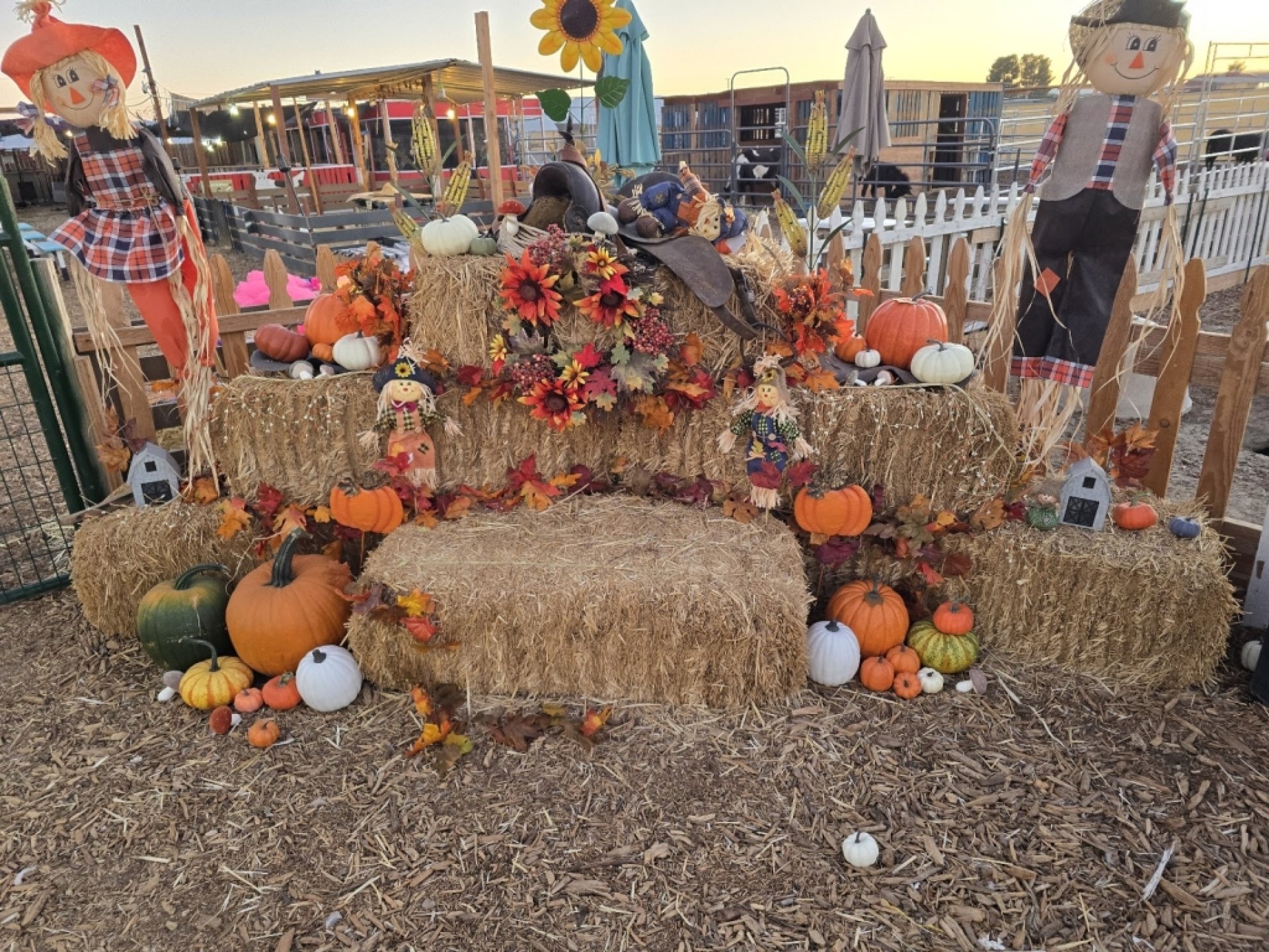 Granja Familiar Barber, Lancaster, CA: Información, Entradas y Opiniones