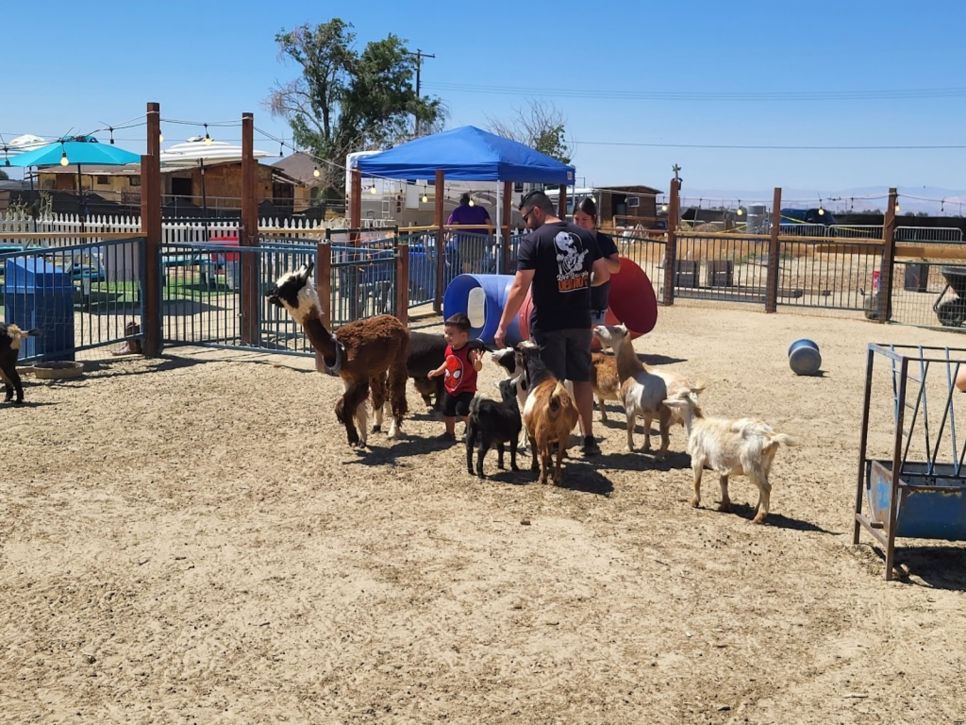 Granja Familiar Barber, Lancaster, CA: Información, Entradas y Opiniones