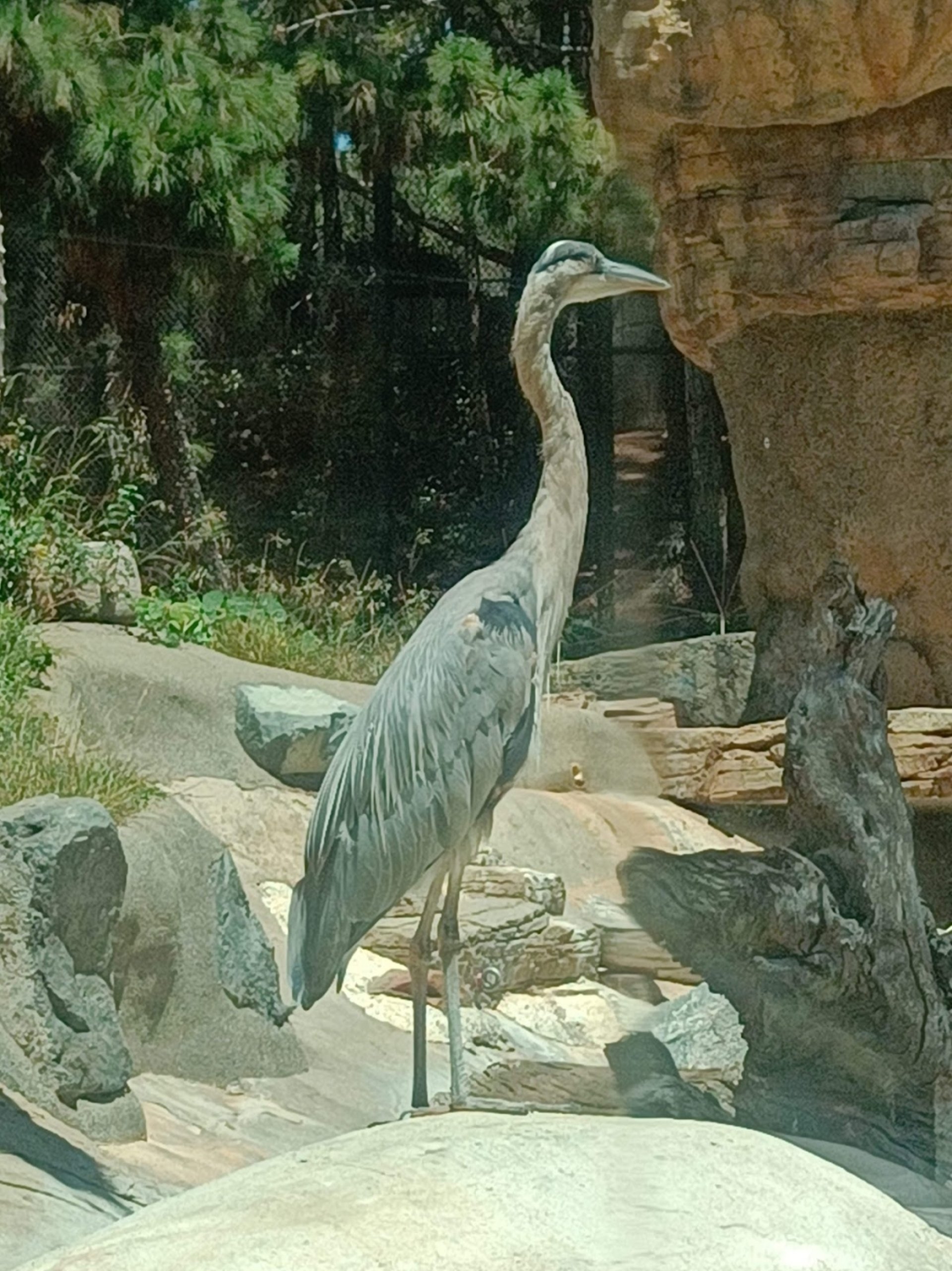 Polar Bear Plunge, San Diego, CA: Information, Tickets and Reviews