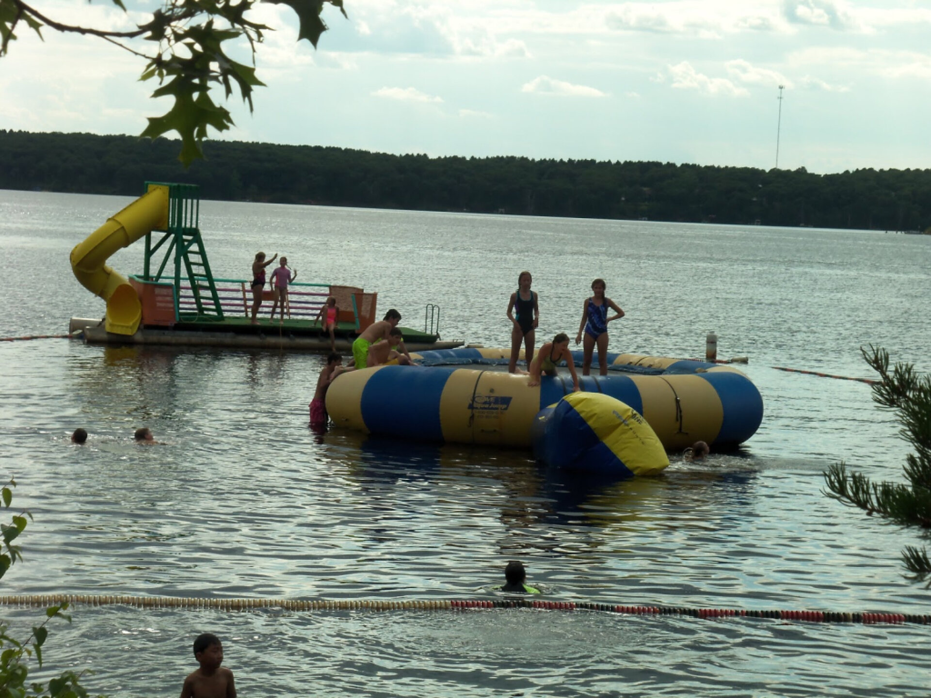 Swift Nature Camp, Downers Grove, IL: Información, Entradas y Opiniones