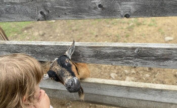 Charmingfare Farm, Manchester, NH: Information, Tickets and Reviews