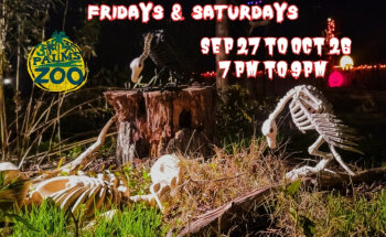 Plumpton Park Zoo, Rising Sun, MD: Information, Tickets and Reviews
