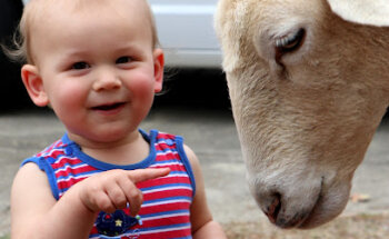 North Carolina Zoo, Asheboro, NC: Information, Tickets and Reviews