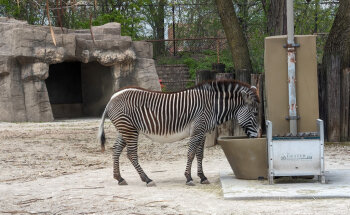 Phillips Park Zoo, Aurora, IL: Information, Tickets and Reviews