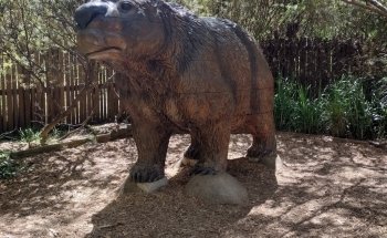 Healesville Sanctuary (Zoos Victoria), Melbourne: Information, Tickets ...