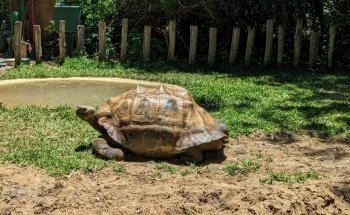 Perth Zoo: Information, Tickets and Reviews