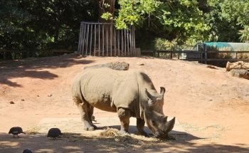 Perth Zoo: Information, Tickets and Reviews