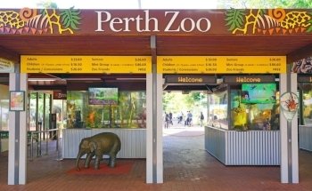 Perth Zoo: Information, Tickets and Reviews