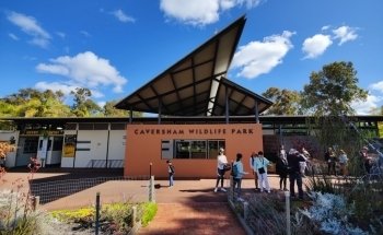 Perth Zoo: Information, Tickets and Reviews