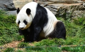 Gorge Wildlife Park, Adelaide: Information, Tickets and Reviews