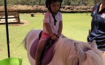 Swan Valley Cuddly Animal Farm, Perth: Information, Tickets and Reviews