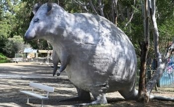 Swan Valley Cuddly Animal Farm, Perth: Information, Tickets and Reviews