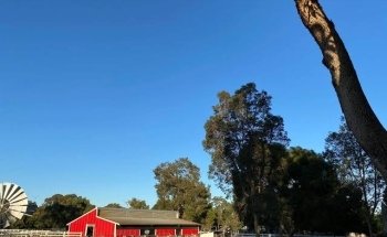 Swan Valley Cuddly Animal Farm, Perth: Information, Tickets and Reviews