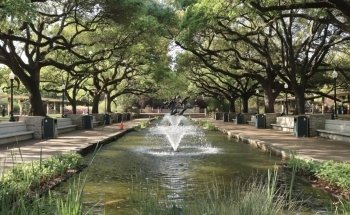 Bayou Wildlife Zoo, Alvin, TX: Information, Tickets and Reviews