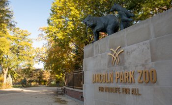 Lincoln Park Zoo, Chicago, IL: Information, Tickets and Reviews