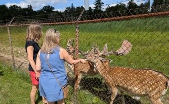 Brantford Twin Valley Zoo Ltd.: Information, Tickets and Reviews