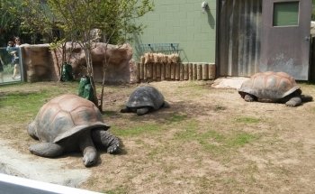 Animal World & Snake Farm Zoo, New Braunfels, TX: Information, Tickets ...