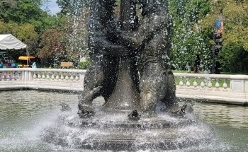 Detroit Zoo, Royal Oak, MI: Information, Tickets and Reviews