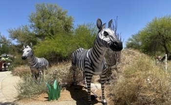 The Living Desert Zoo and Gardens, Palm Desert, CA: Information ...