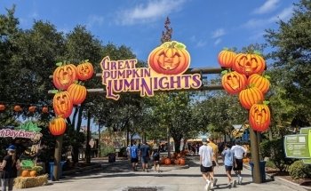 Wild Adventures, Valdosta, GA: Information, Tickets and Reviews