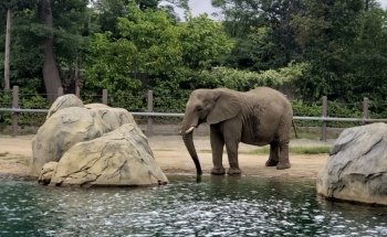 Roger Williams Park Zoo, Providence, RI: Information, Tickets and Reviews