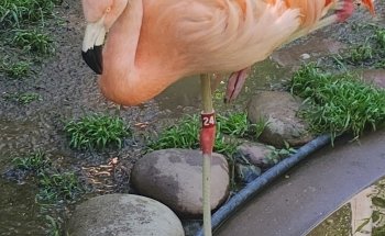 Akron Zoo: Information, Tickets and Reviews
