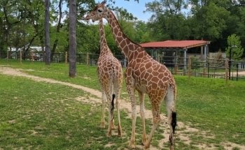 The Maryland Zoo in Baltimore: Information, Tickets and Reviews