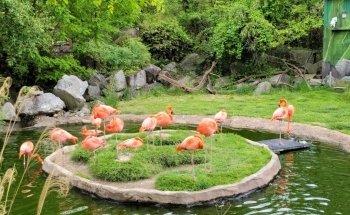 The Maryland Zoo in Baltimore: Information, Tickets and Reviews