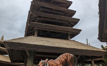 Virginia Zoo, Norfolk, VA: Information, Tickets and Reviews