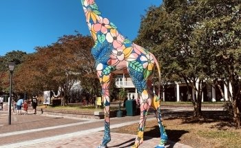 Virginia Zoo, Norfolk, VA: Information, Tickets and Reviews