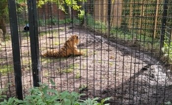 Potter Park Zoo, Lansing, MI: Information, Tickets and Reviews