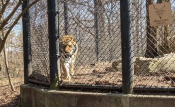 Connecticut's Beardsley Zoo, Bridgeport, CT: Information, Tickets and ...