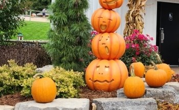 Lewis Adventure Farm & Zoo, New Era, MI: Information, Tickets and Reviews