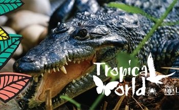 Tropical World, Leeds: Information, Tickets and Reviews