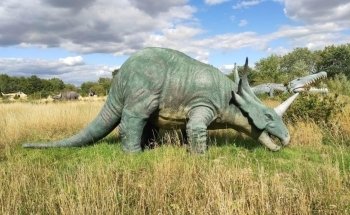 All Things Wild, Evesham: Information, Tickets and Reviews