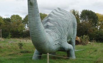 All Things Wild, Evesham: Information, Tickets and Reviews