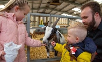 Maldon Promenade Zoo: Information, Tickets and Reviews