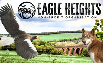 The Fenn Bell Conservation Project, Rochester: Information, Tickets and ...